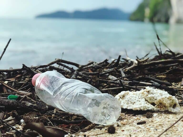 How to reduce plastic waste while travelling: 4 practical, tested ways ...